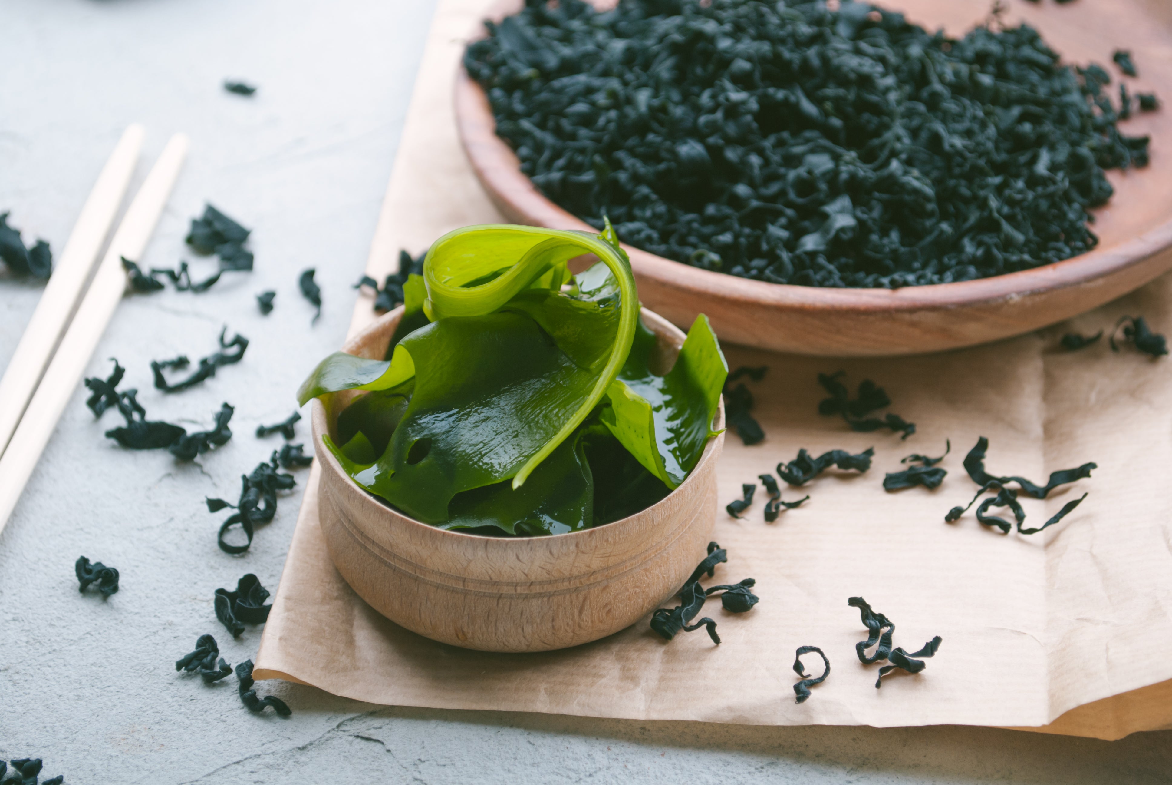 The Different Types of Edible Seaweed – Bokksu Market